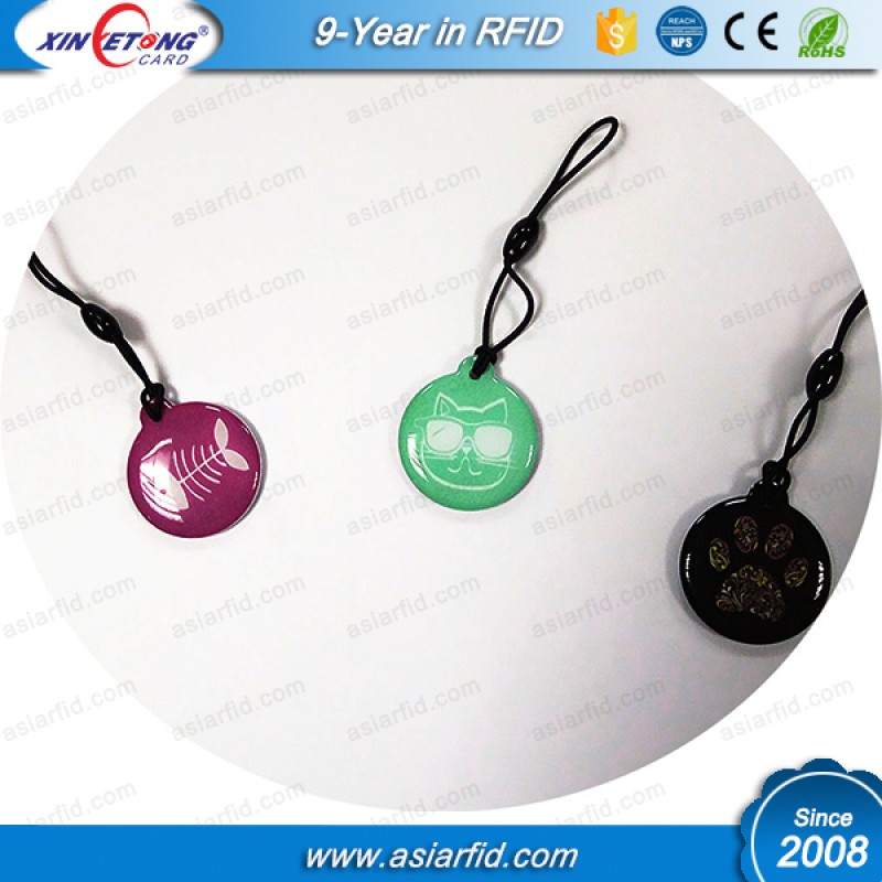 NTAG213 Epoxy Resin Tag